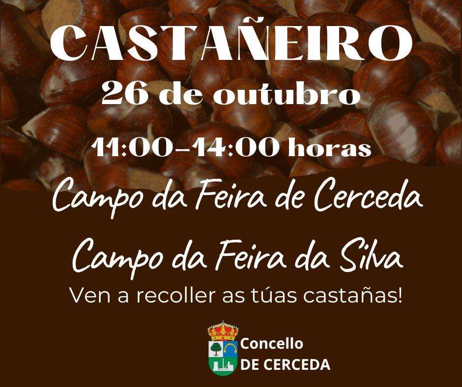 Castañeiro en Cerceda