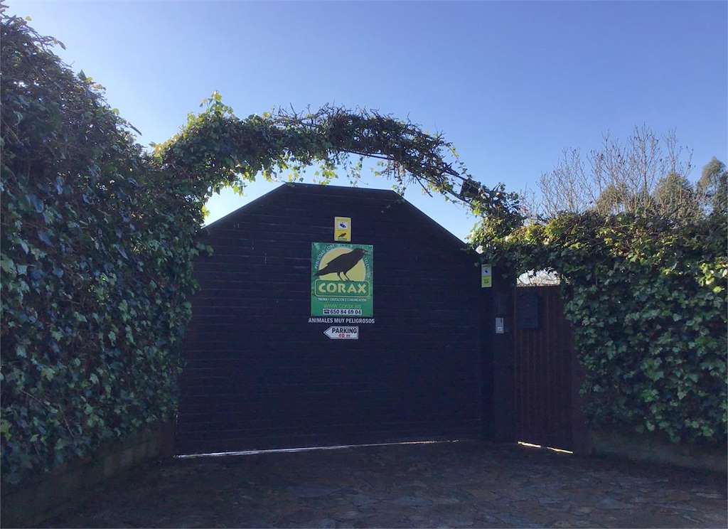 Corax Fauna en Paderne