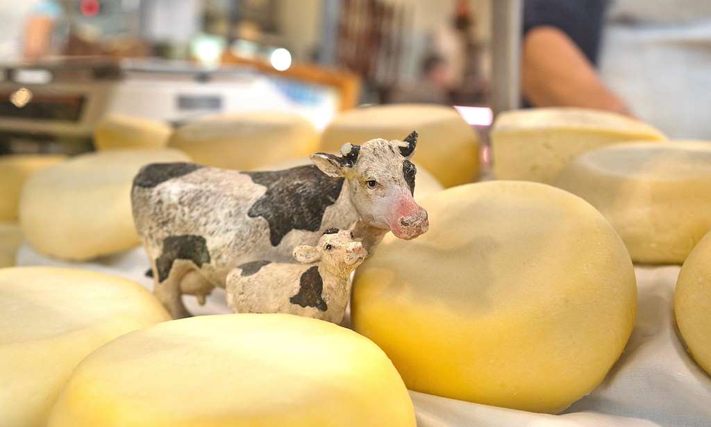 Descubre Arzúa. Que ver y que hacer en Arzúa