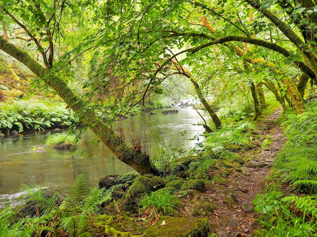 Descubre Paderne. Que ver y que hacer en Paderne