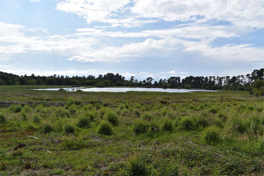 Lagoa de Caque en Castro de Rei