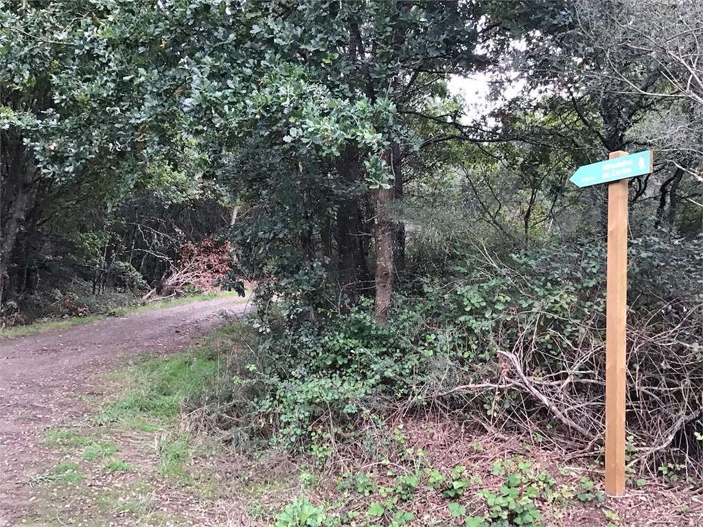 Miradoiro da Cariza en Taboada