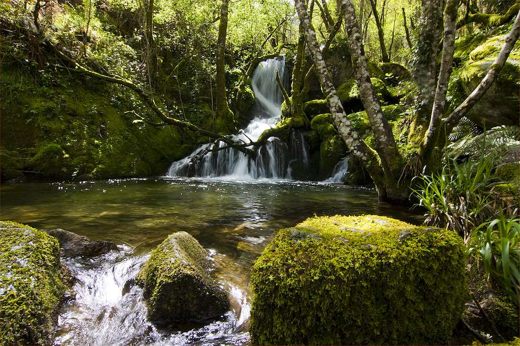 Ruta del Río Miño en Cenlle