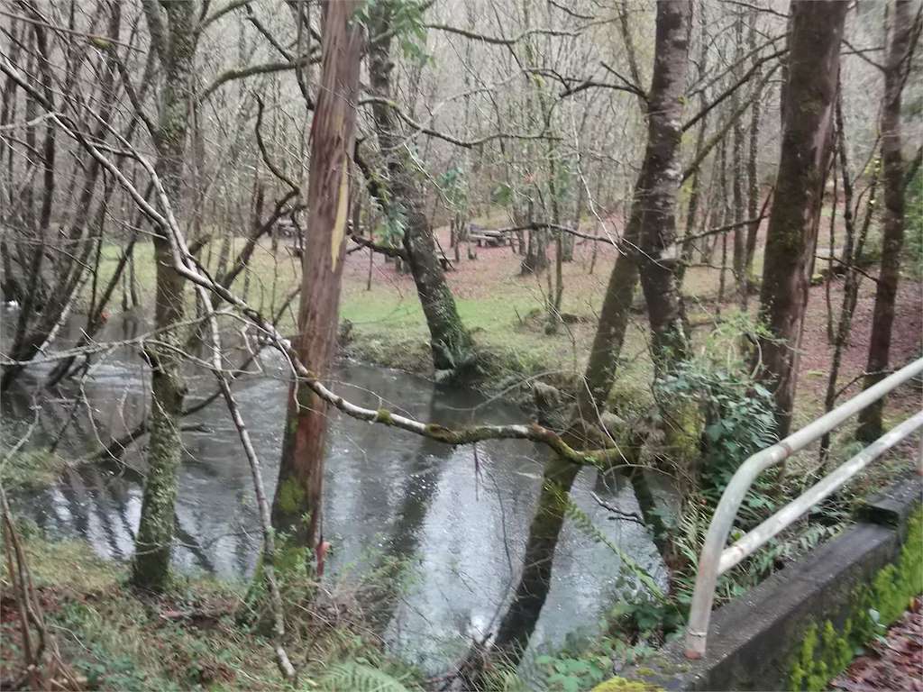 Ruta do Río Cuberto en A Capela