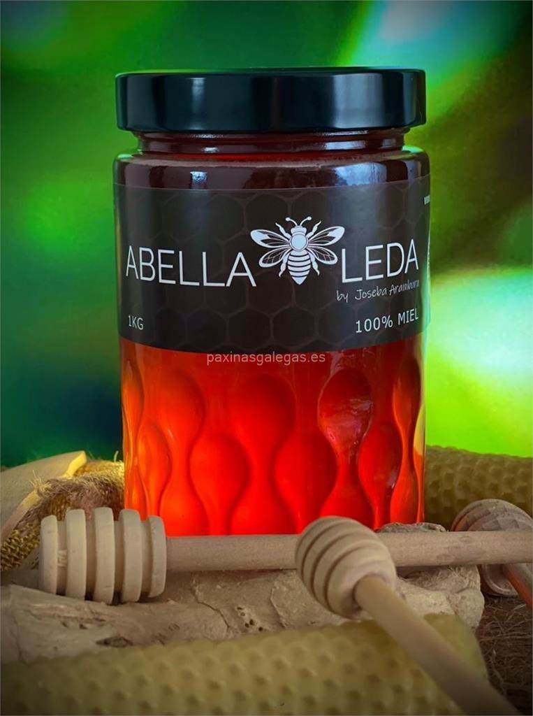 Apicultura Abellaleda en Vigo