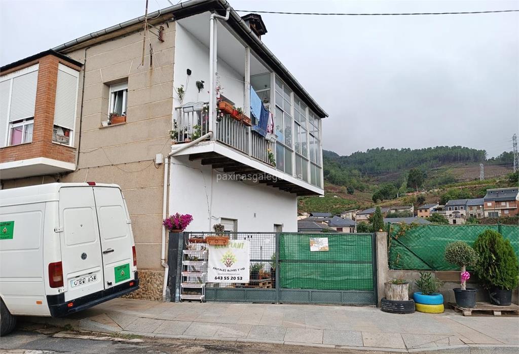 Vivero de Plantas Alex Plant en Vilamartín