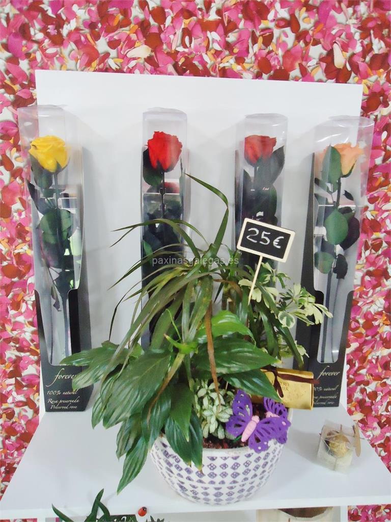 Floristería Díselo con Flores en Vigo