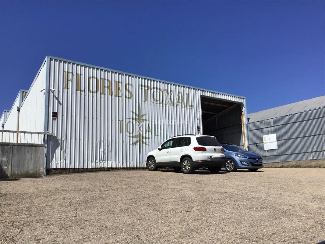 Vivero de Plantas Flores Toxal, S.L. en A Guarda