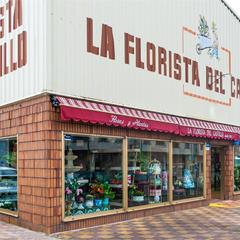 Floristerías en Ferrol