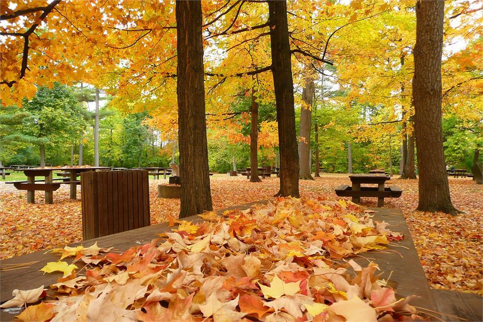 Merenderos y áreas recreativas en O Incio