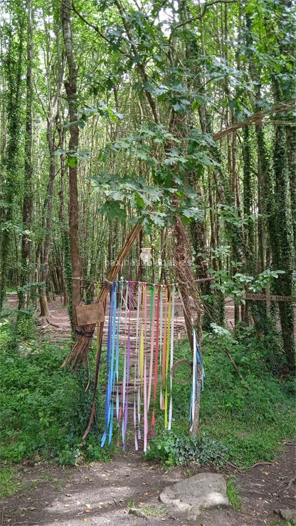 Nenea, Medrar Creando en Lugo