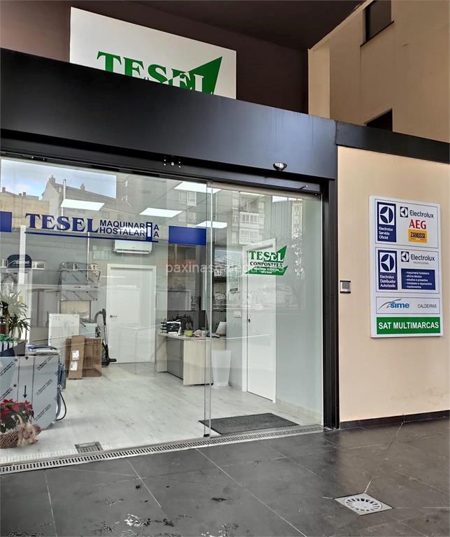 Electrodomésticos Servicios Técnicos Oficiales Tesel en Santiago