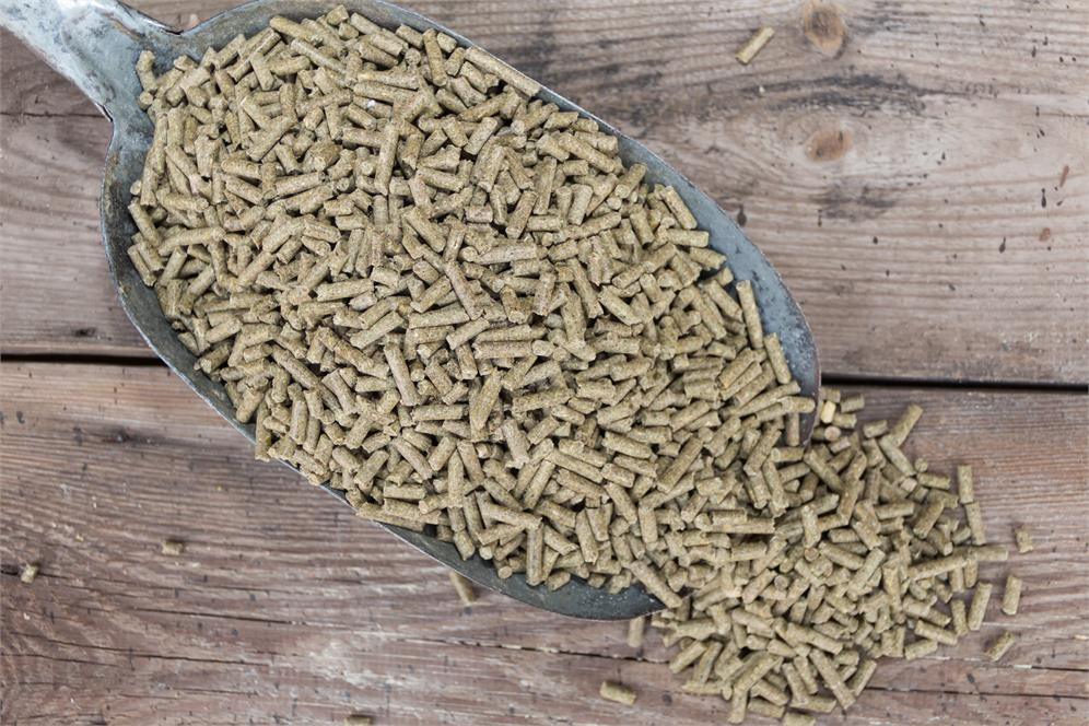 Venta de Pellets en Tui