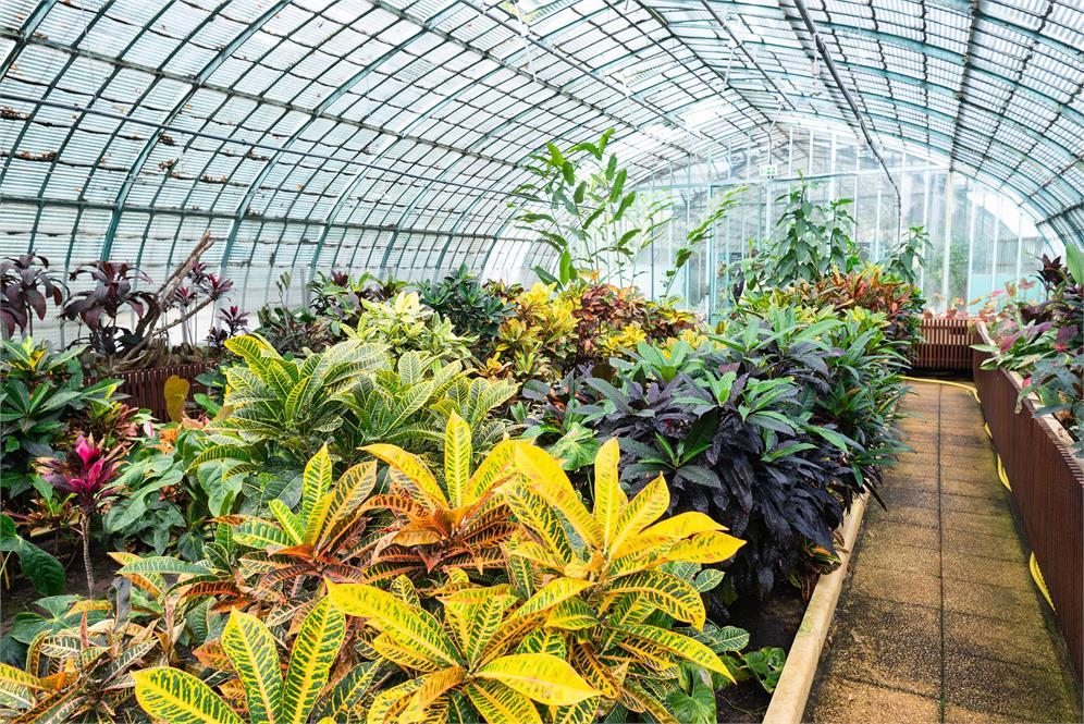 Viveros de plantas en Bóveda